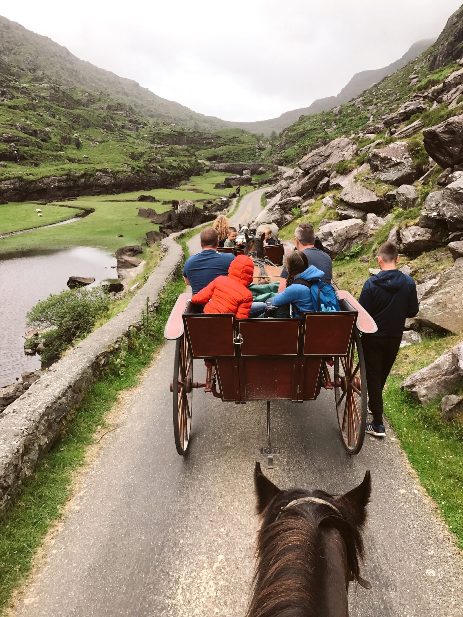 Discover the Magic of the Gap of Dunloe, Killarney: A Complete Guide